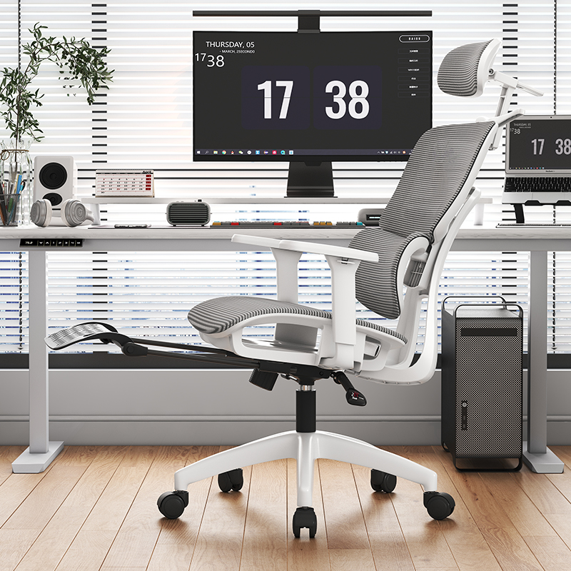 BIC ERGO Series Ergonomic Home Office Chair | Shopee Singapore