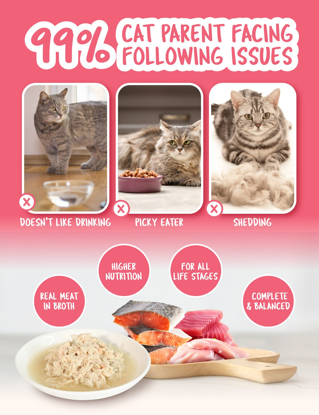 Kit Cat Complete Cuisine Pure Wet Cat Canned Food | Complete & Balanced ...