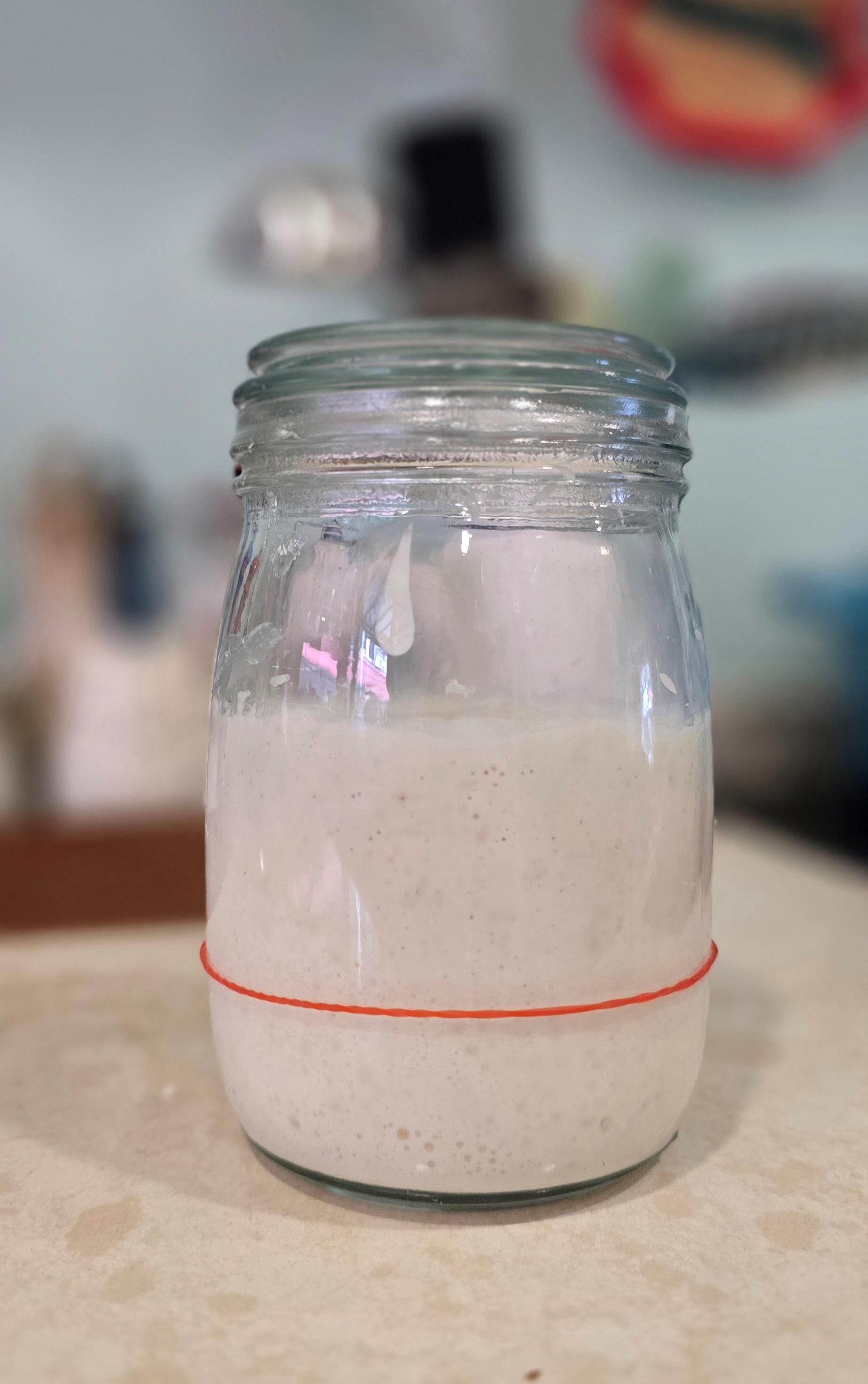Mature - Active Sourdough Starter - Levain @Joo Chiat | Shopee Singapore