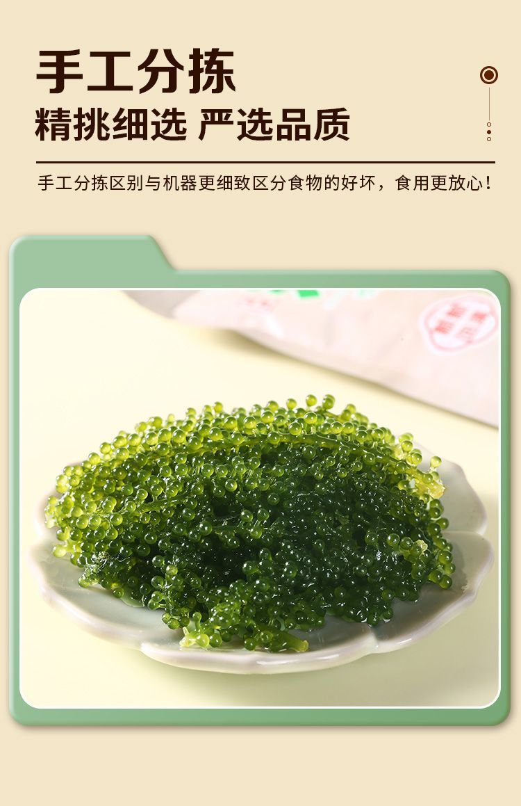 Pop Pop Sea Grapes (Green Caviar) - 100g Ready-to-Eat Seaweed) | Shopee ...