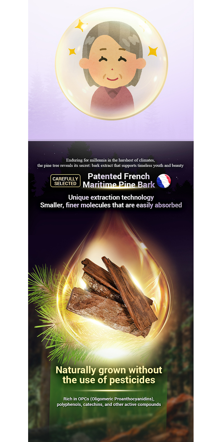 ALLRE French Pine Bark Time Capsule ( 7 Capsules / 30 Capsules ...