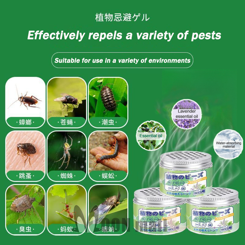 【SG】Plant Formula Ants Repellent Magic Box Combat Ant Killer Safe & Non ...