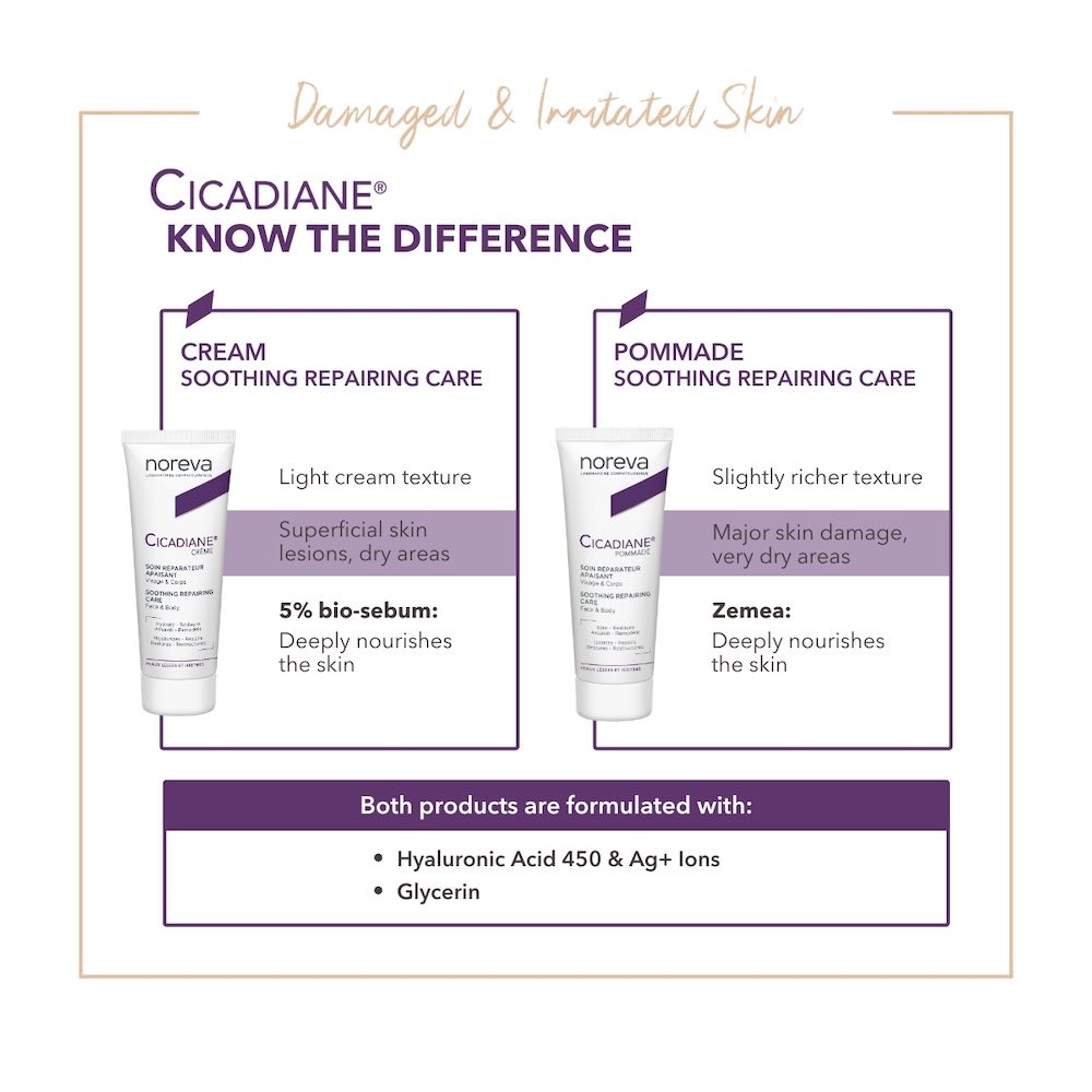 NOREVA Cicadiane Pommade Soothing Repair Care Balm 40ml | Shopee Singapore
