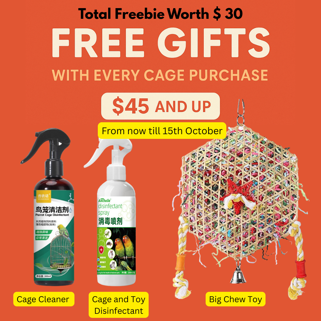 Super XXL Bird Cage | Large Parrot Cage with Multiple Perches & Feeders ...