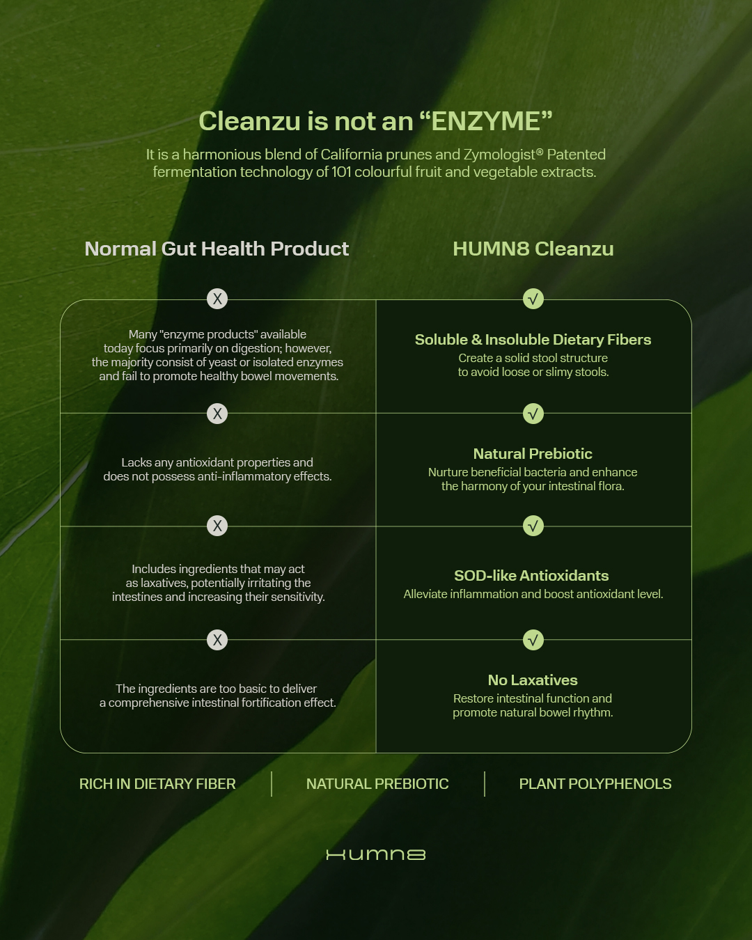 (Exp 07/2027) HUMN8 CLEANZU Gut Health Detox Drink for Smooth Bowel ...