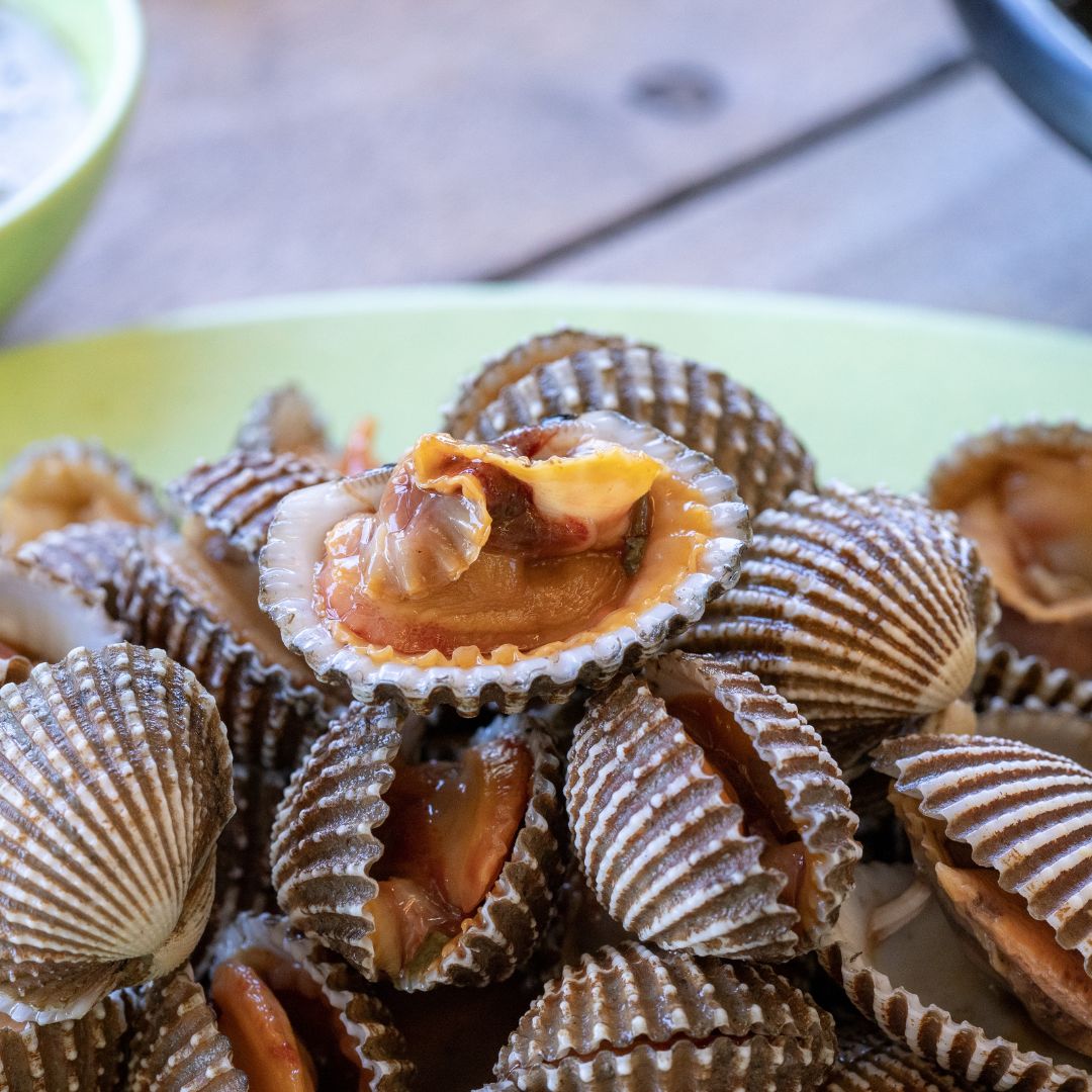Cockles Meat (Gross Weight: 450g) | Shopee Singapore