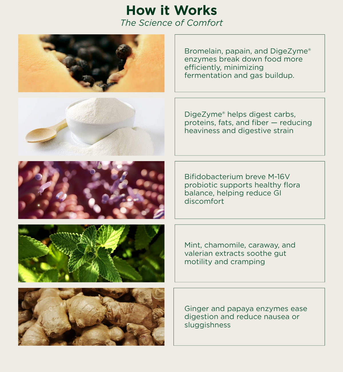 Shortcutx De-bloat Juice Supplement • For Bloating and Digestion Relief ...