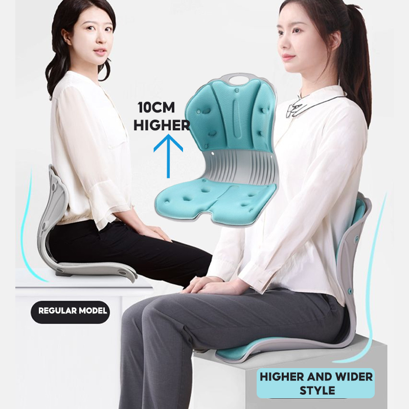 Posture Correction Chair for Adult 45CM Ergonomic Office| | Lumbar ...