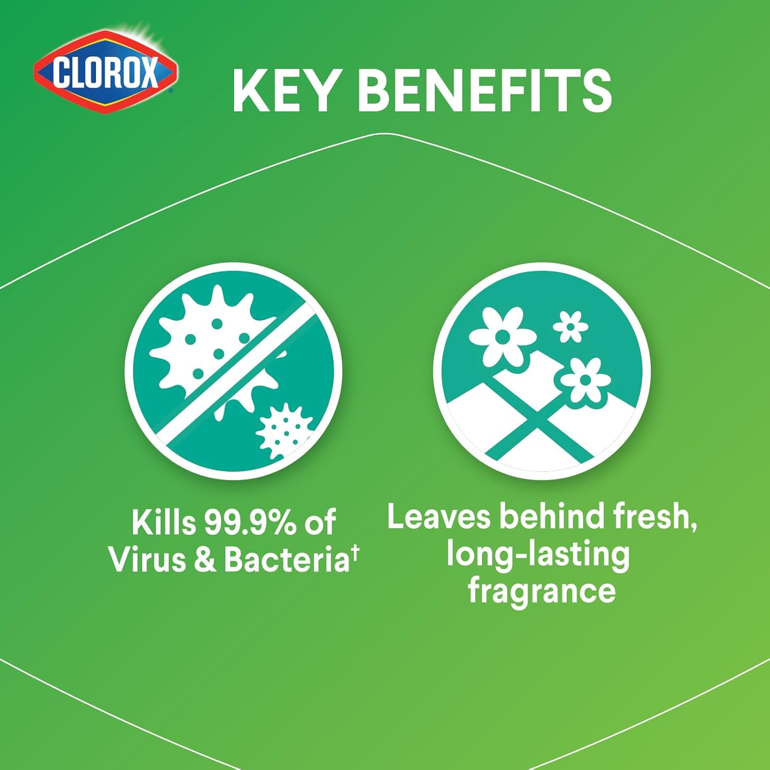Clorox Clean Up Floor Cleaner (2L) | Shopee Singapore