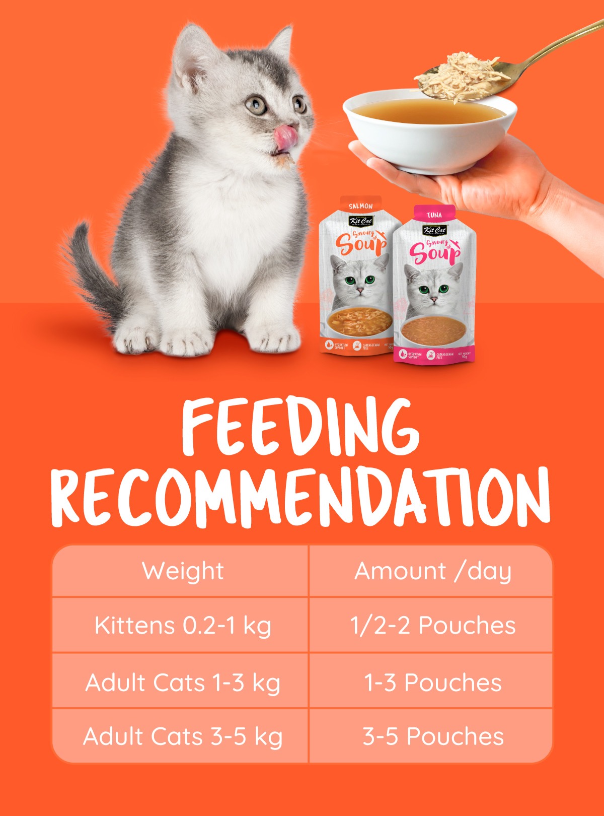 Kit Cat Savoury Soup Wet Food Pouches for Cats (50g x 6) | Shopee Singapore