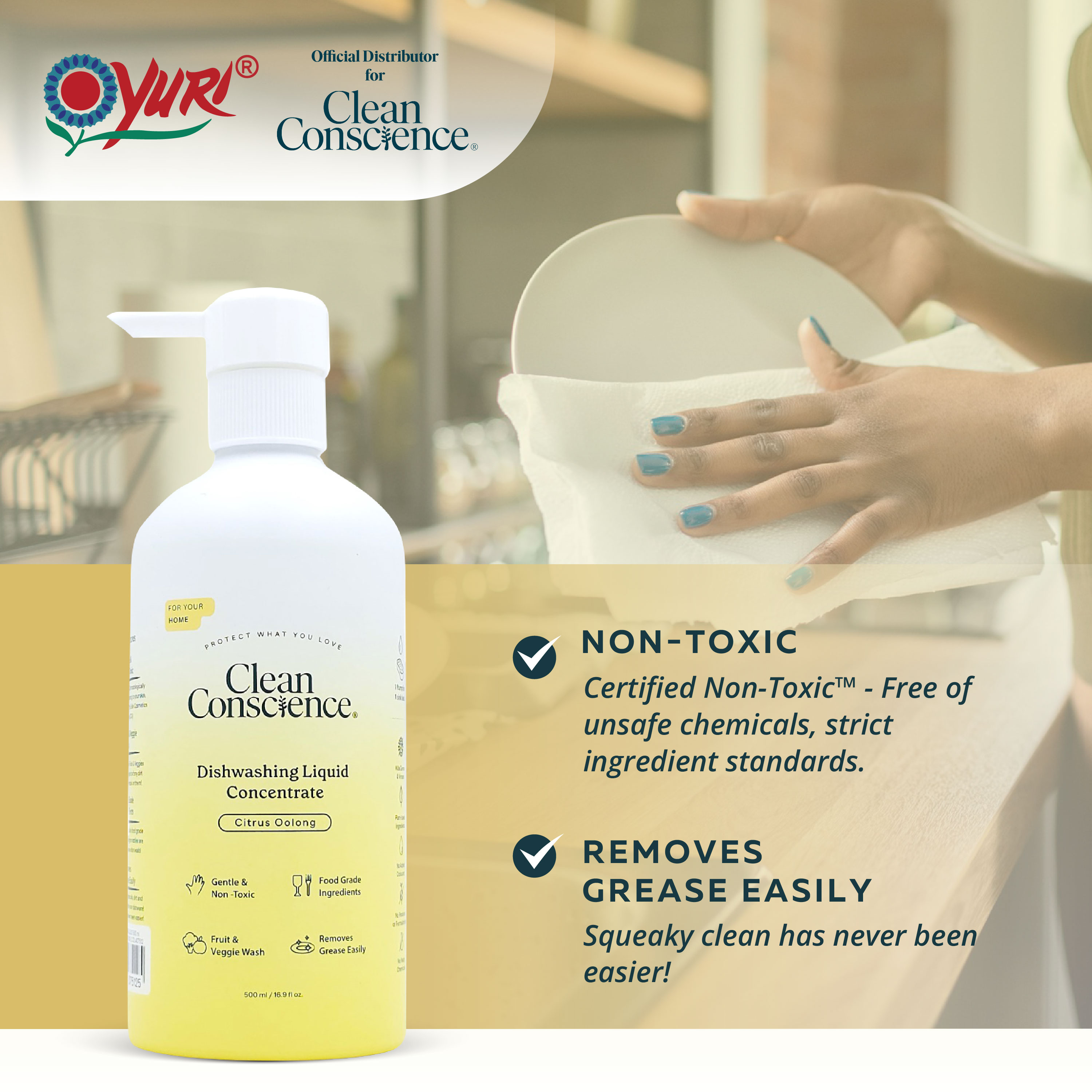 Clean Conscience Dishwashing Liquid Detergent 500ml – Everyday (Citrus ...