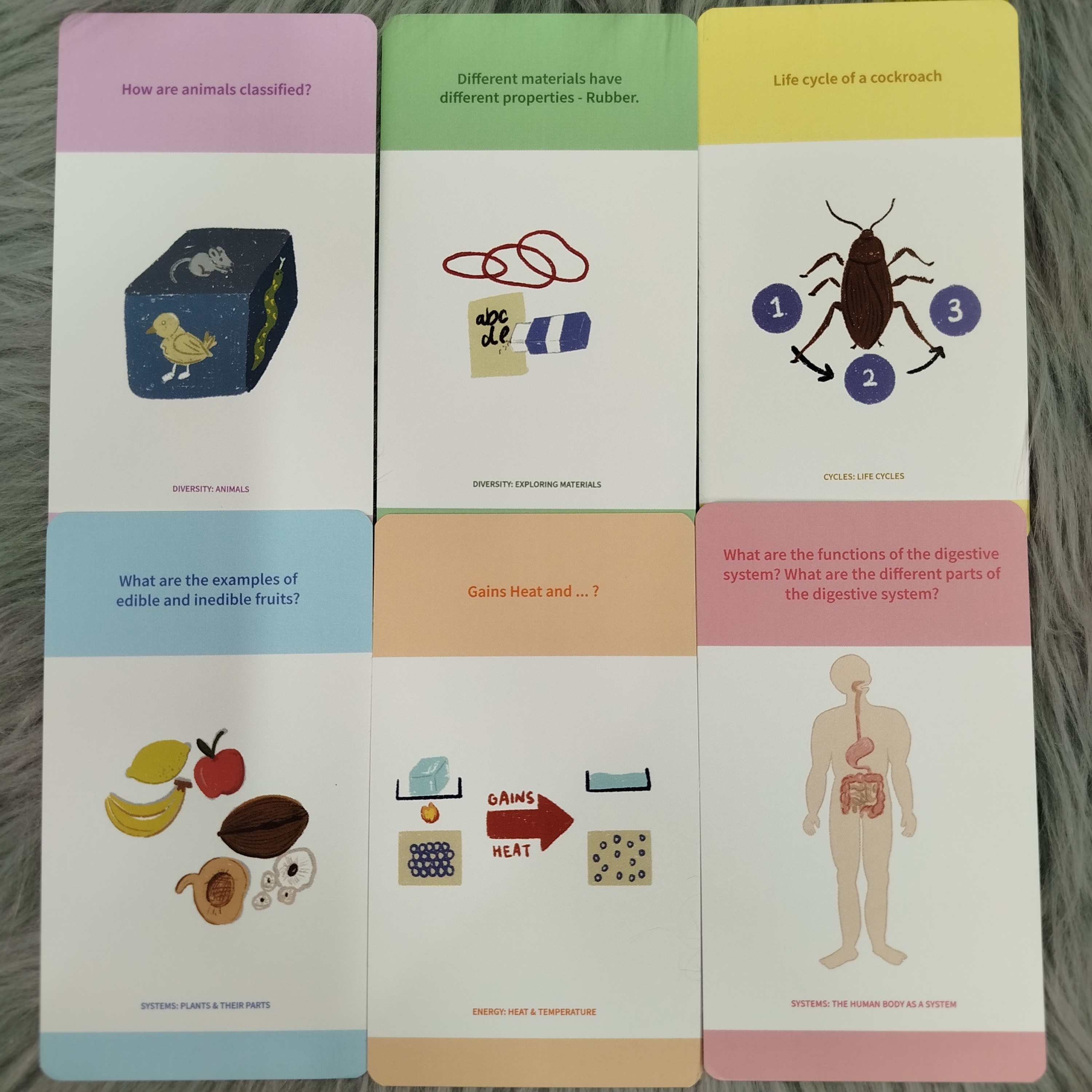 Pocket Science Flashcards | 120+Cards | PSLE Science Prep | Fun ...