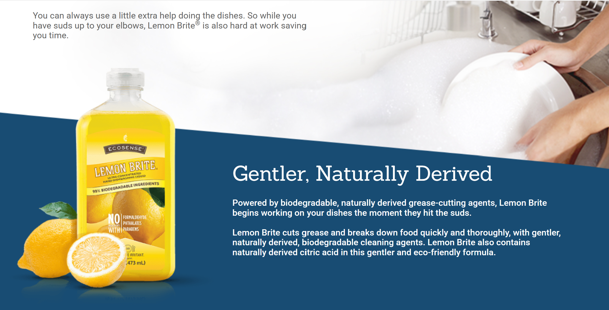 😍 [Bundle Deal] Lemon Brite™ Hand Dishwashing Liquid - 473ml + 1 Free ...