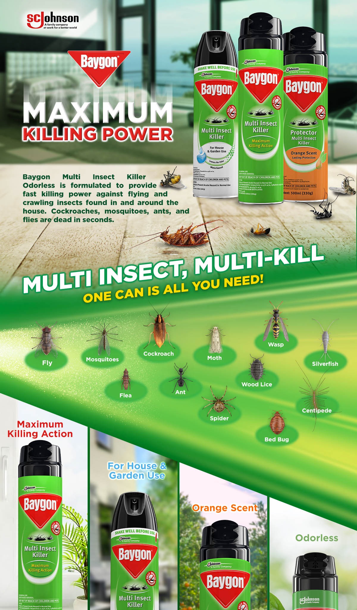 Baygon Multi Insect Killer Twin Pack & 24H Cockroach Bait Bundle ...