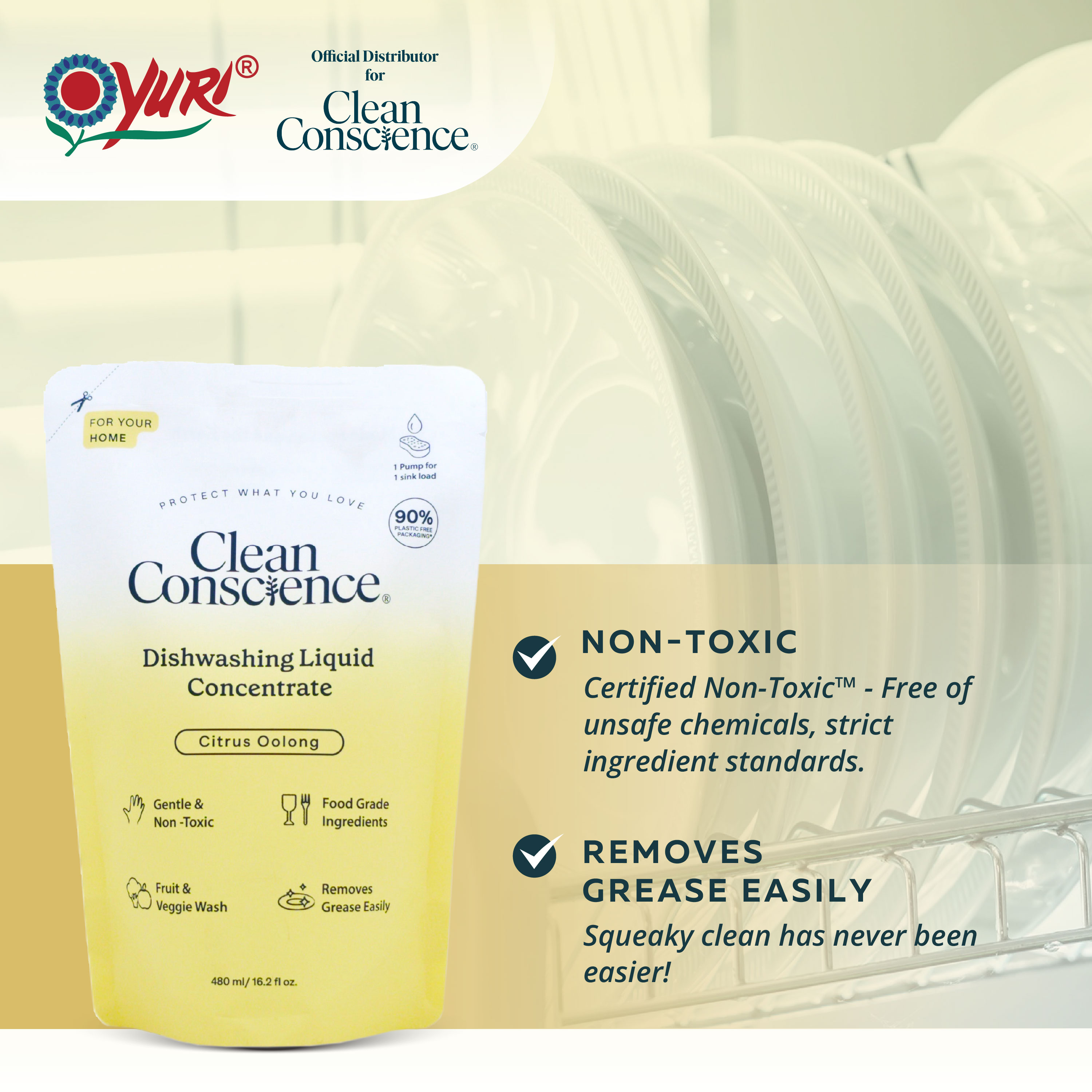 Clean Conscience Dishwashing Liquid Detergent Refill 480ml – Everyday ...