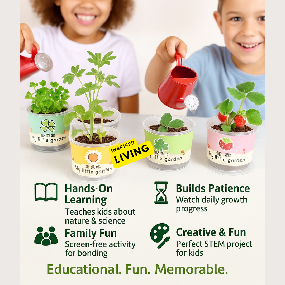 DIY Plant Kit | Mini Eco Garden | Easy to Grow Plant for Kids | School ...