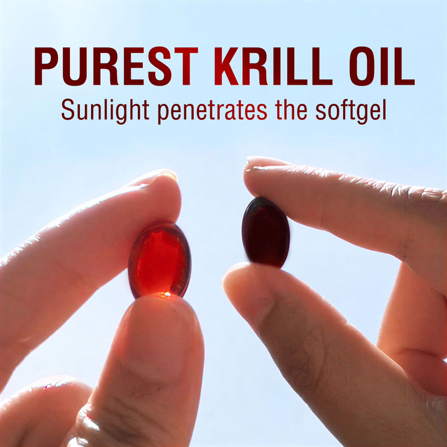 LABO Nutrition Perfect Krill EX Antarctic Krill Oil Omega 3 ...