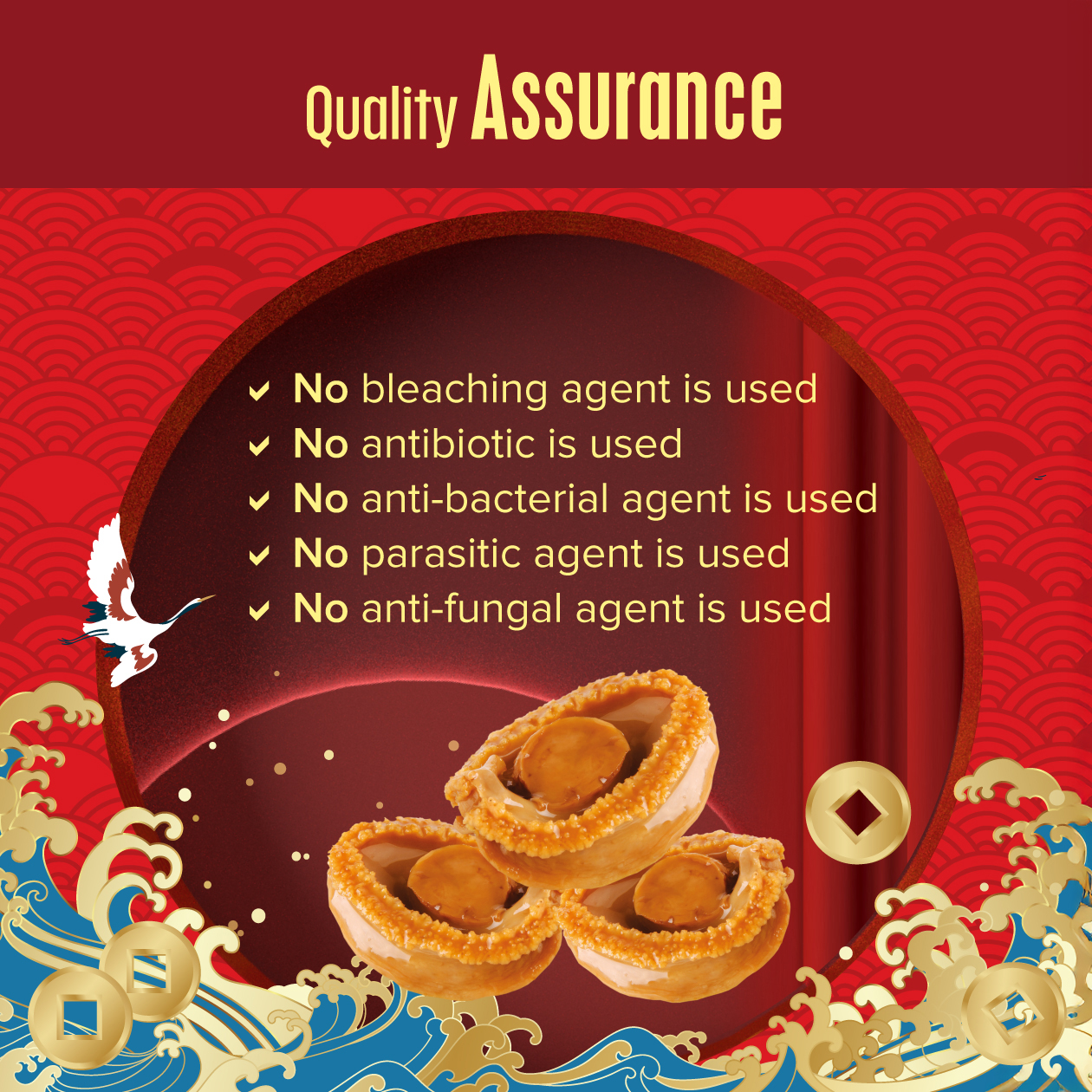 [4 Cans] Kinohimitsu Japanese Abalone in Braised Sauce / Braised with ...