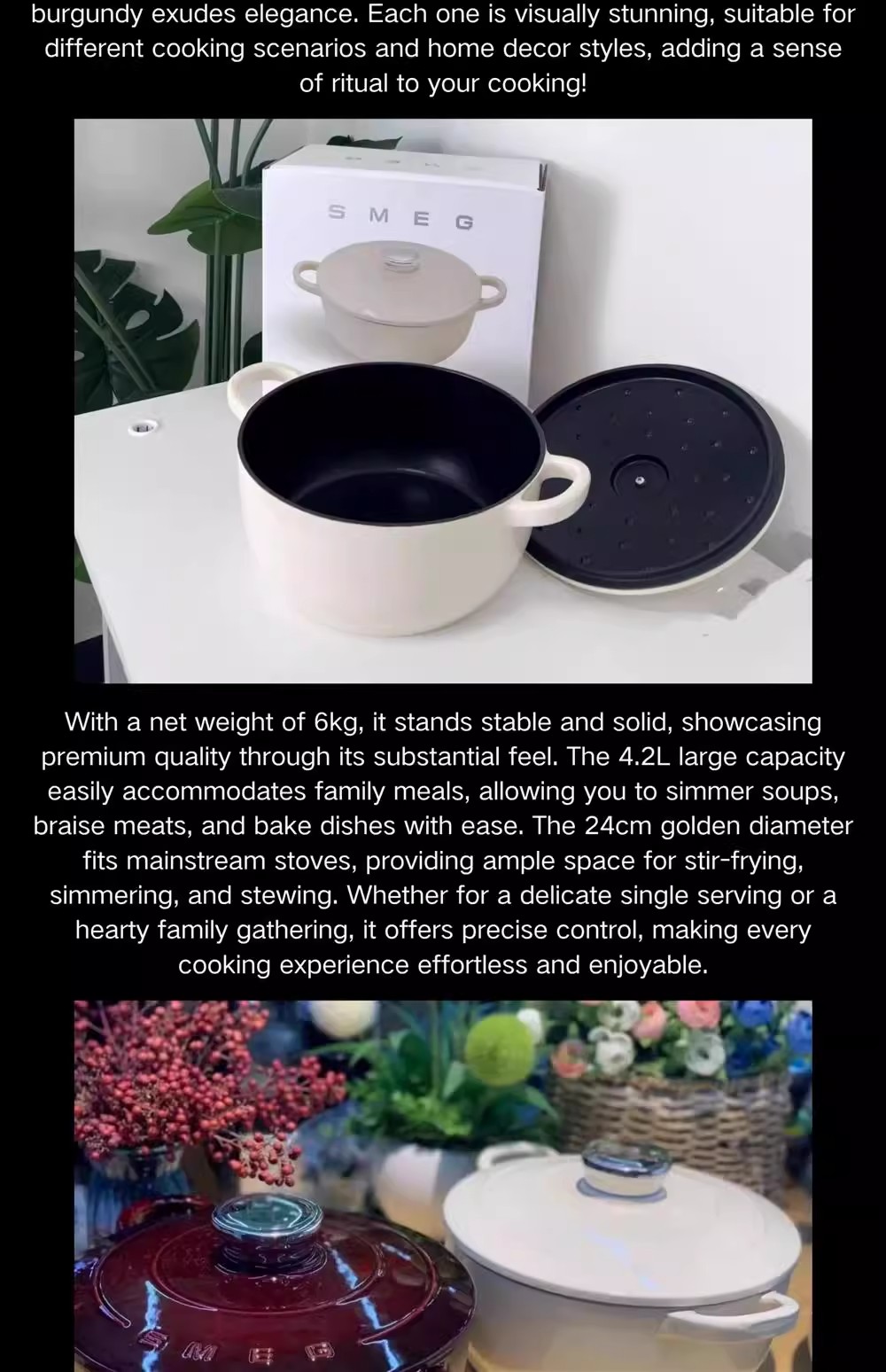 SMEG Enamel Pot 24cm | Shopee Singapore