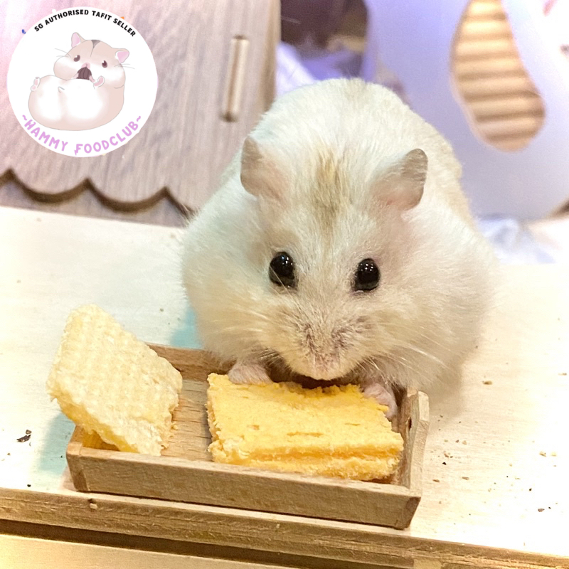 [SG] Apple Wafer Crispy Marukan Bite-sized Hamster Treats | Shopee ...