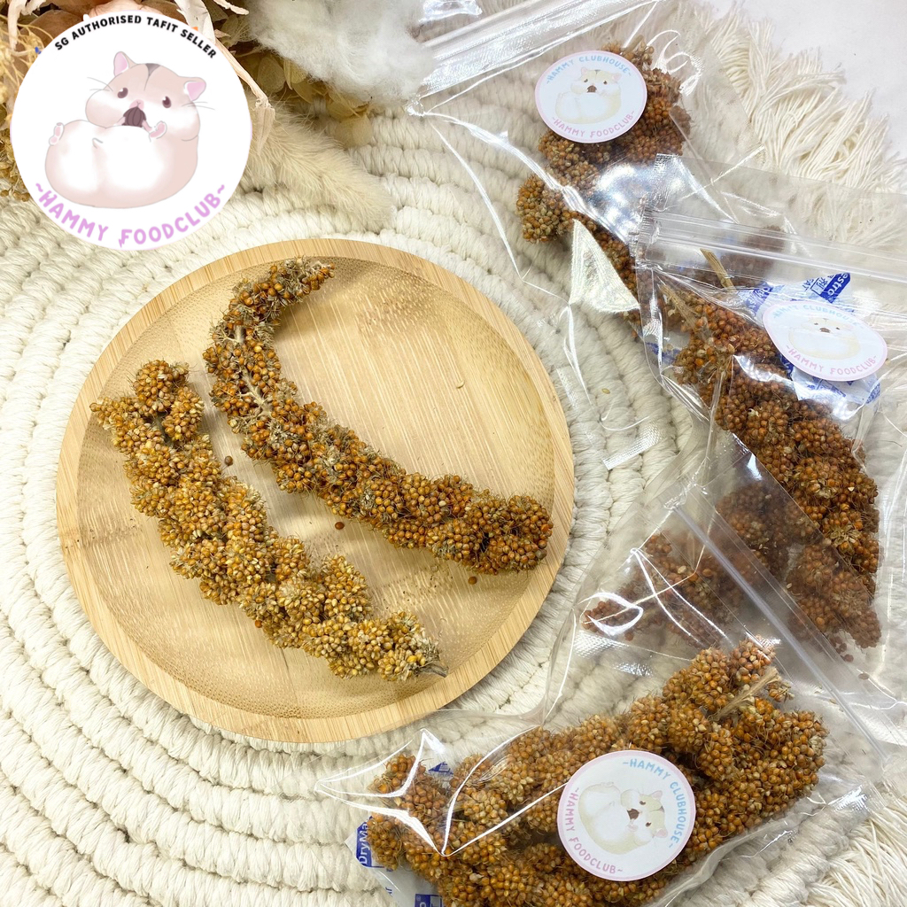 [SG] Large Red Piston Millets Organic Snack Hamster Treats | Shopee ...