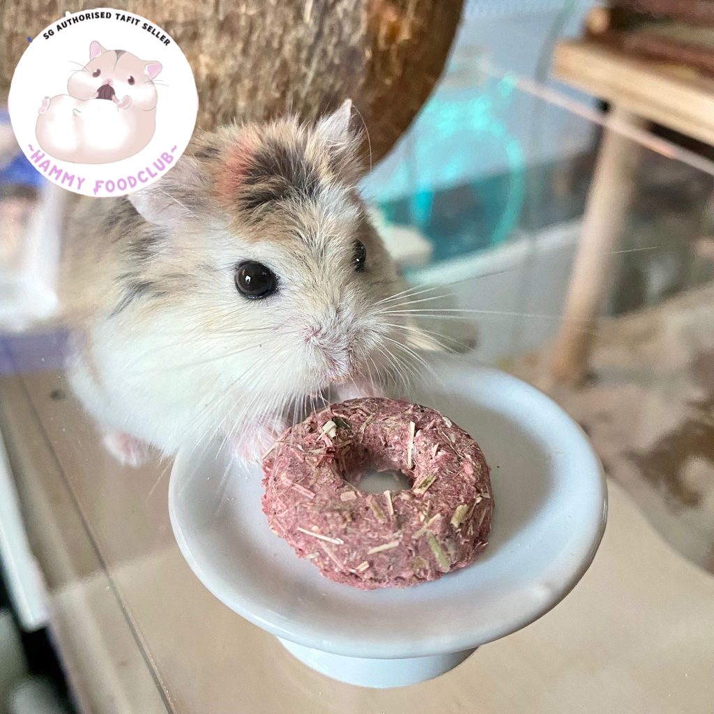 [SG] Danelion and Rosehip Selective Naturals Loops Hamster Treats ...