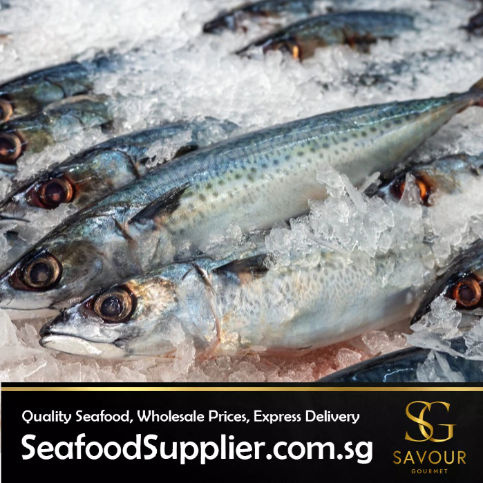 Saba Fish Whole (1kg) (Savour Gourmet) | Shopee Singapore