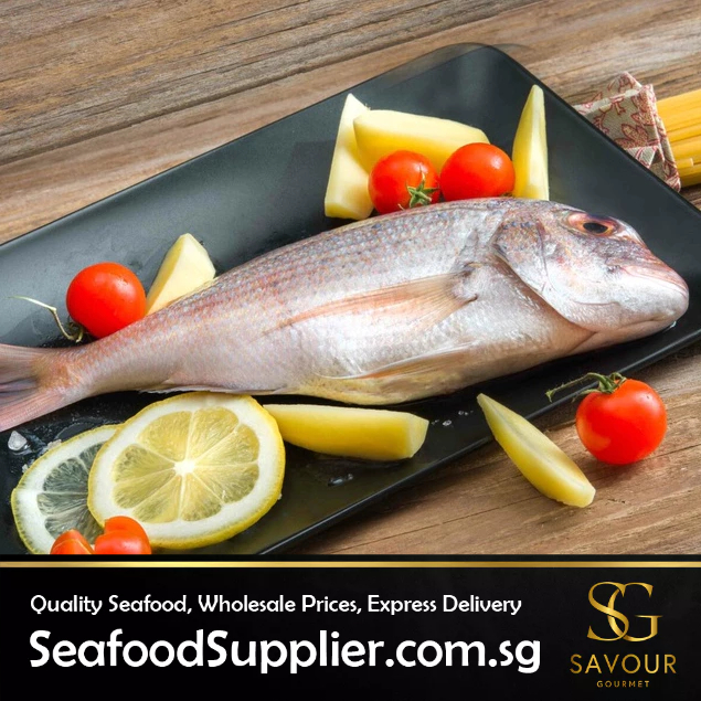 Threadfin Bream - ANG GO LI (1kg) (Savour Gourmet) | Shopee Singapore