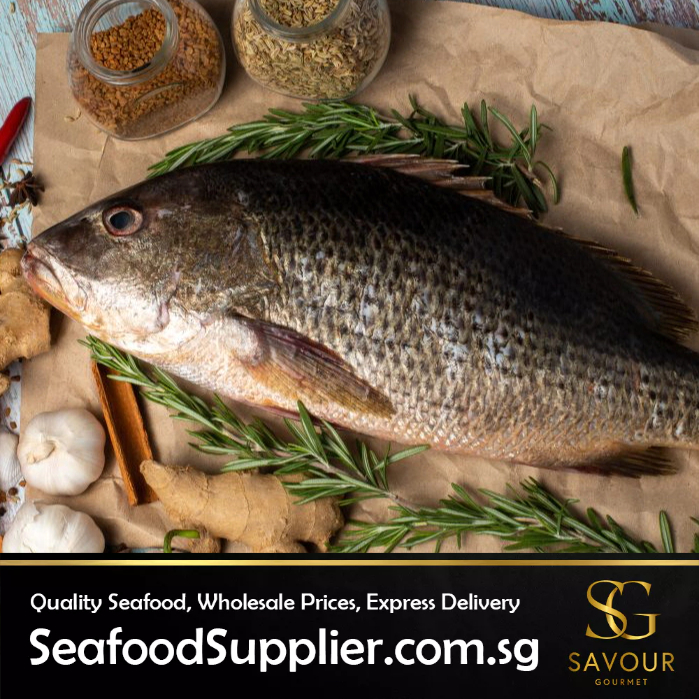 Red Snapper Fish (500 - 600gm) (Savour Gourmet) | Shopee Singapore