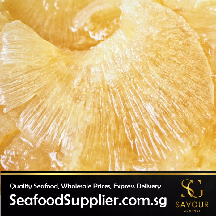 Instant Shark Fin (400-500g) (Savour Gourmet) | Shopee Singapore