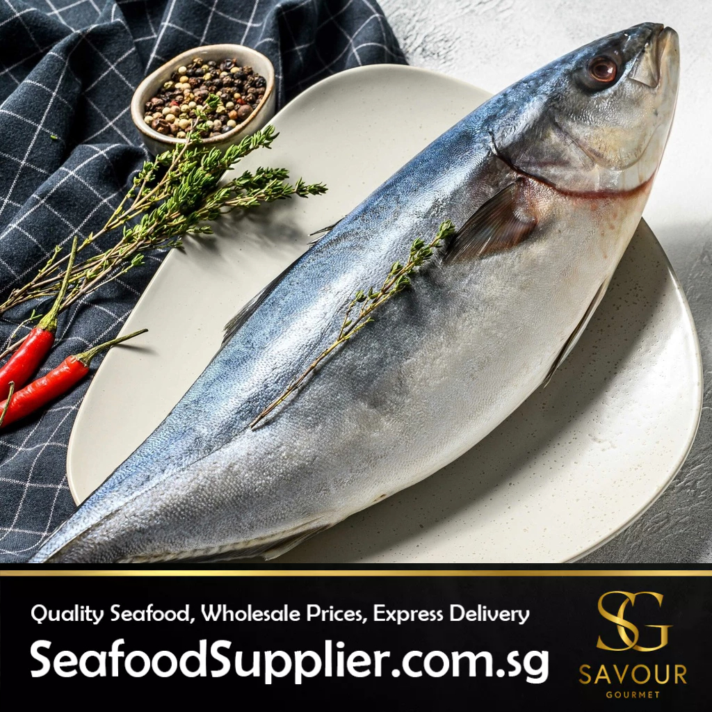 Frozen Selar Fish(1kg) (Savour Gourmet) | Shopee Singapore