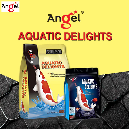 ANGEL AQUATIC DELIGHTS Fish Food | Shopee Singapore