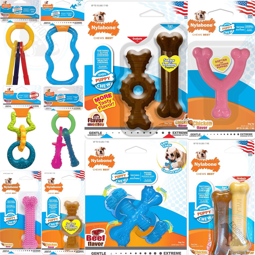 Nylabone Just for PUPPIES Key Ring Pacifier Dental X Bone Wishbone Bone ...