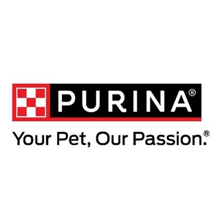 Buy purina cat food At Sale Prices Online - June 2026 | Shopee Singapore