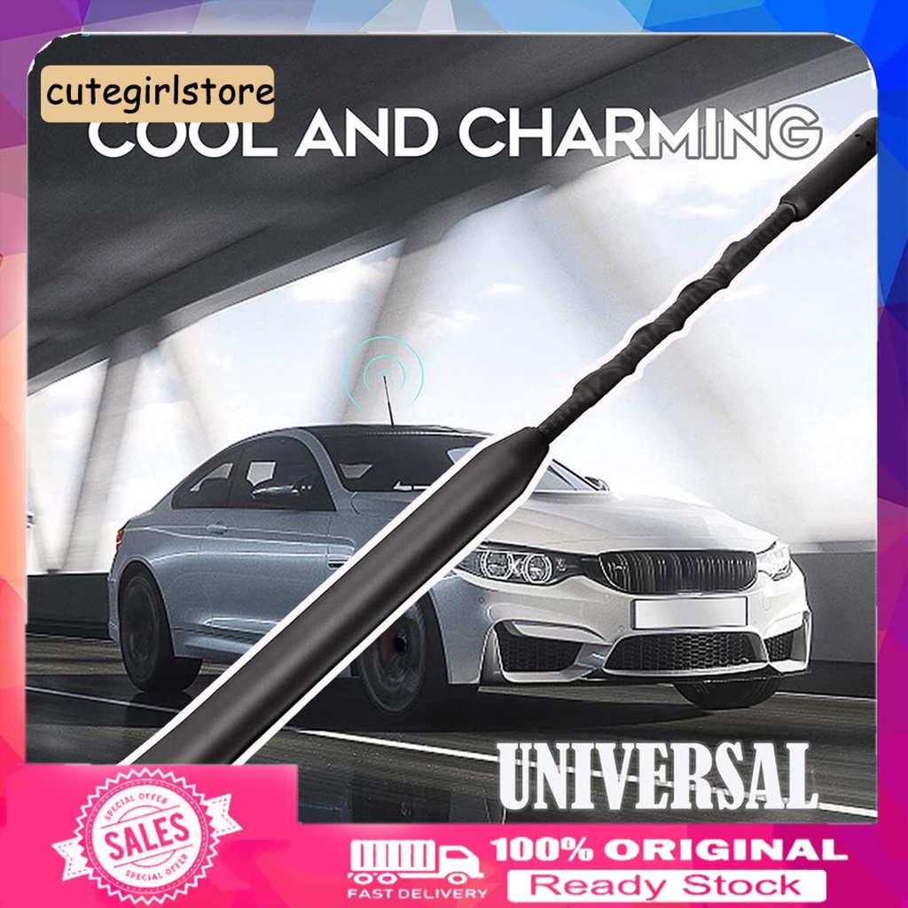 CTL Car Antenna Universal Perfect Fitment Waterproof Auto FM/AM/DAB ...