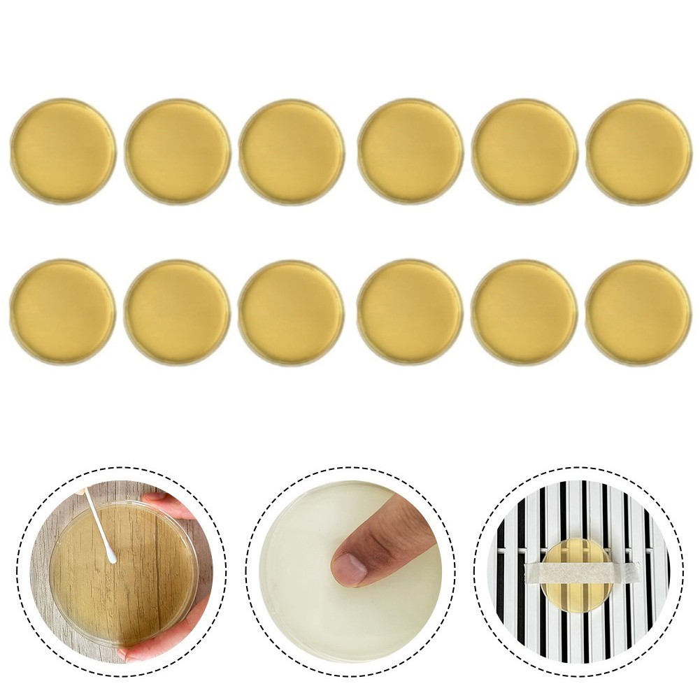 【RSTR】12 Individual Tests for Mold Test Kit Home DIY Detector HVAC/Air ...