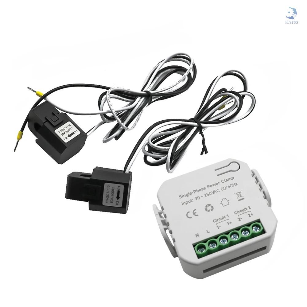 80A Smart Two-Way Bilateral Wi-Fi Energy Monitor with 2pcs 80A CT ...