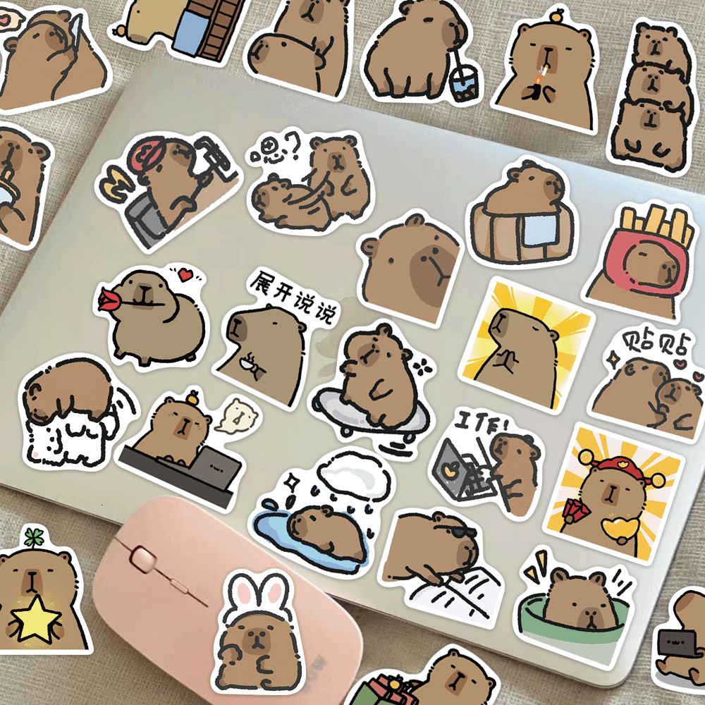 62Pcs Cartoon cute capybara capybara sticker Dolphin Door Notebook ...