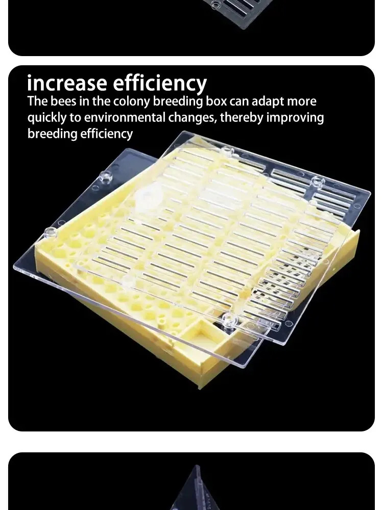 Queen Bee Rearing Incubator with Free Movement Feature for Single Bee ...
