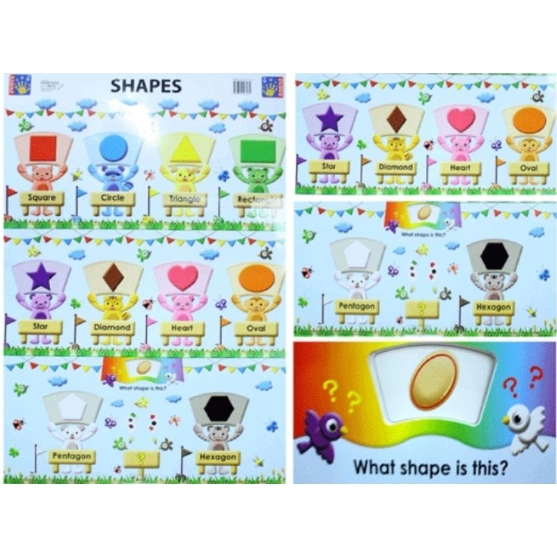 HANDS-ON INTERACTIVE CHART:SHAPES | Shopee Singapore