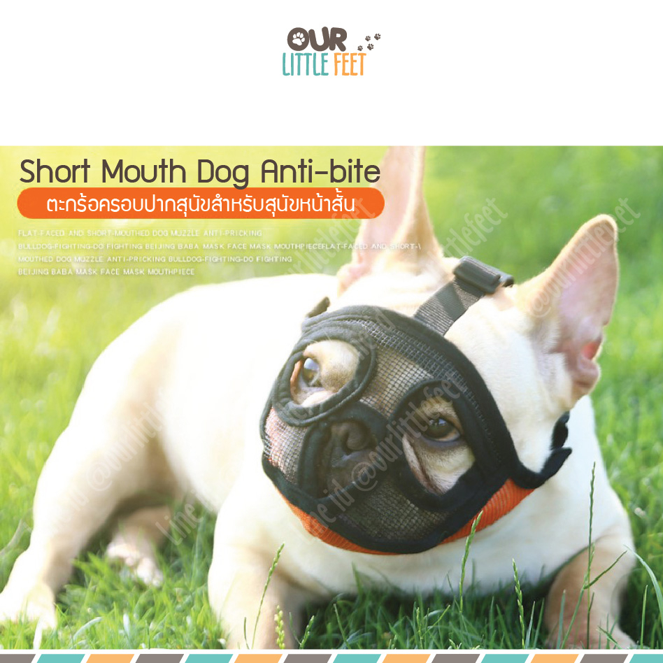 Short-Faced Dog Mask | Shopee Singapore