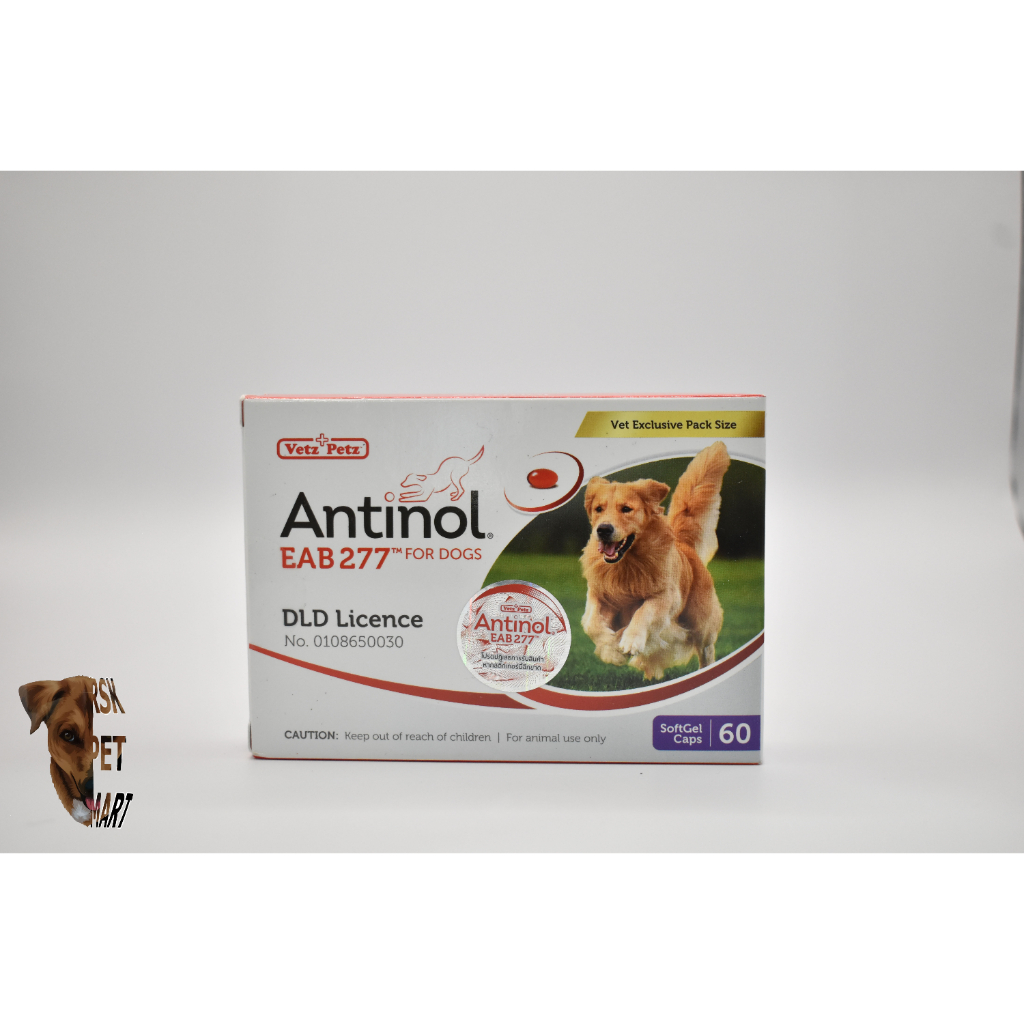 Antinol DOG 60 Caps/1 Box Joint Arthritis Supplement | Shopee Singapore