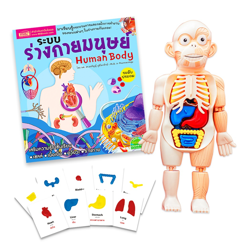 The Human Body Book!!! Model Organ Science Anatomy | Shopee Singapore