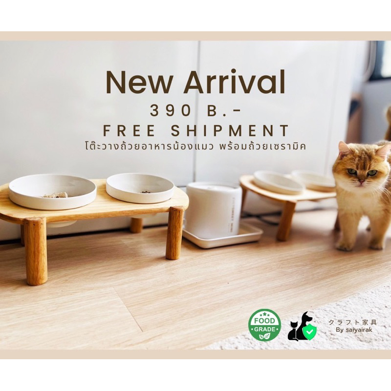 Minimal Cute Cat And Dog Food Bowl Table + With Cup | Shopee Singapore