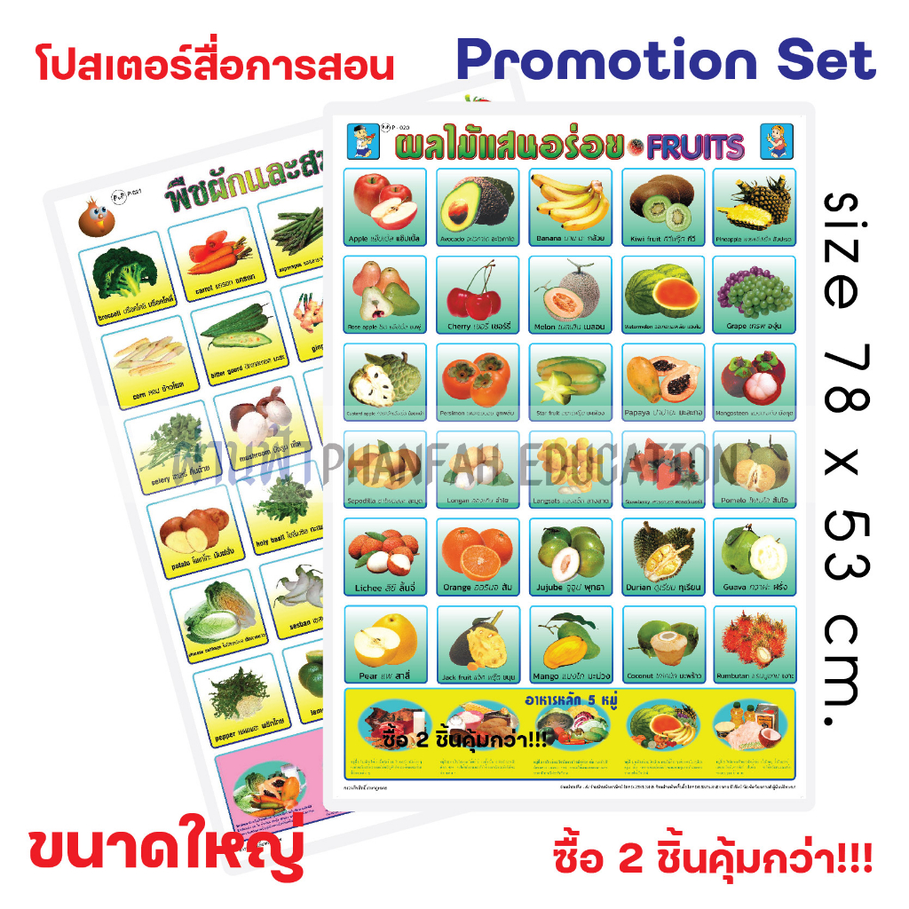 Thai English Vocabulary Poster Value Set | Shopee Singapore