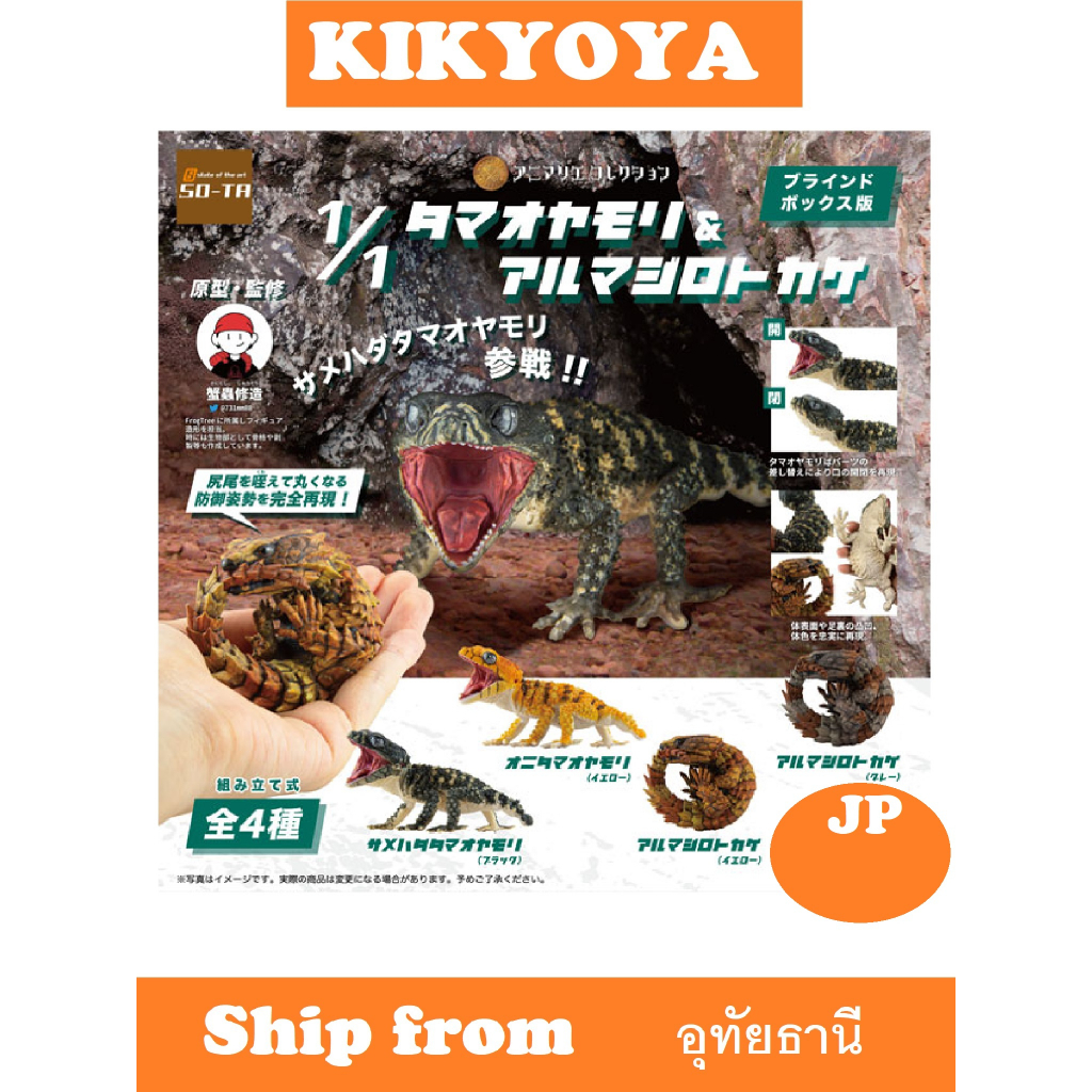 + Animarie Collection 1/1 Knob-tailed Gecko & Armadillo Lizard SO-TA ...