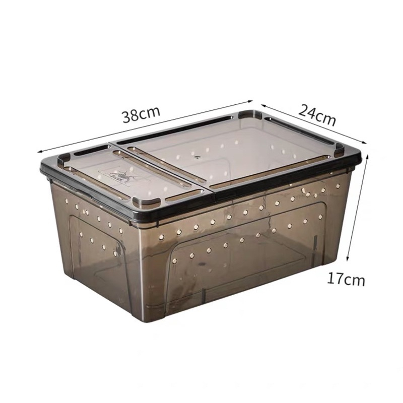 Reptile Box [XL] Small Animal Reptiles Animals Breeding For Snakes ...