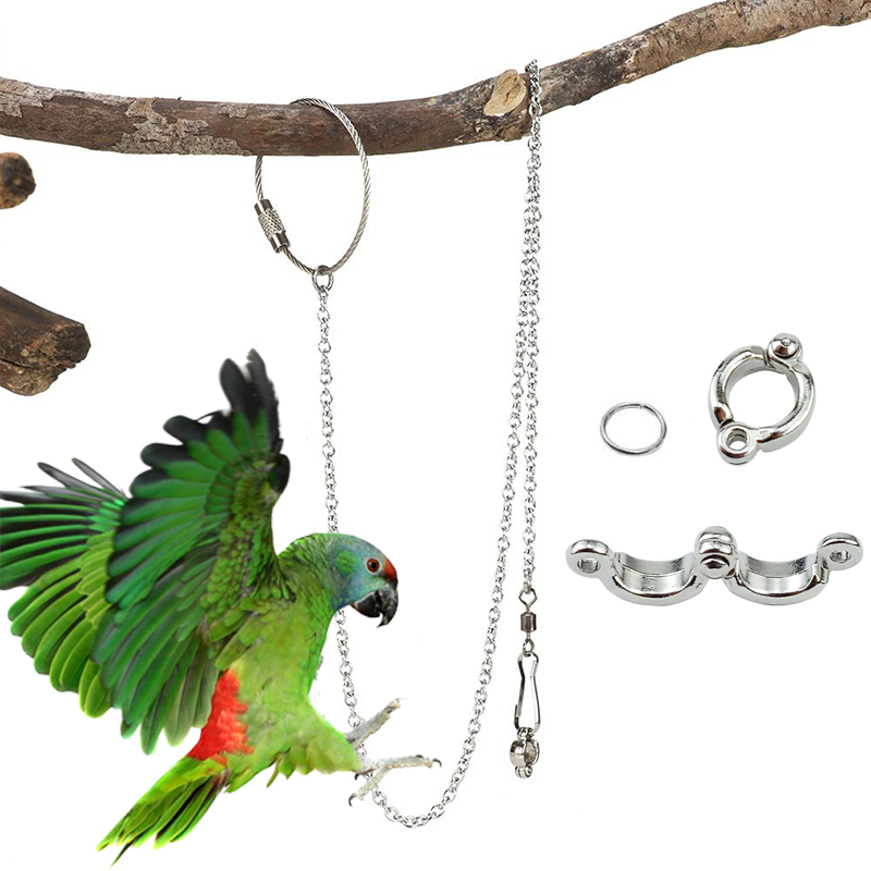 Bird Chain Stainless Steel Leg (Include Ring) | Shopee Singapore
