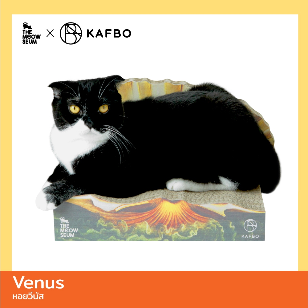 The Meowseum x KAFBO Cat scratcher Venus Clamshell Sofa Cat's Claw Toy ...