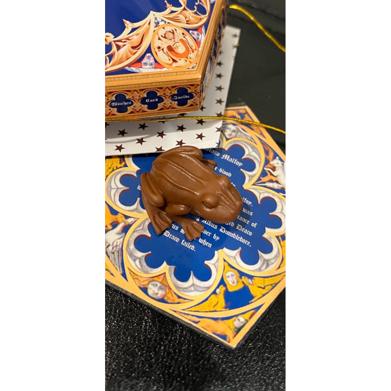 Chocolate Frog Keychain (Choco Frog) With Scent-Harry Potter (Harry Potter) | Shopee Singapore